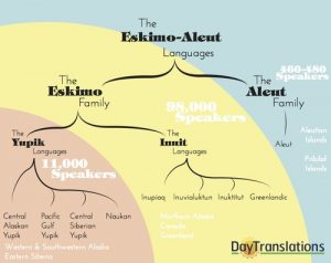 Indigenous American Words That We Use in the English Language