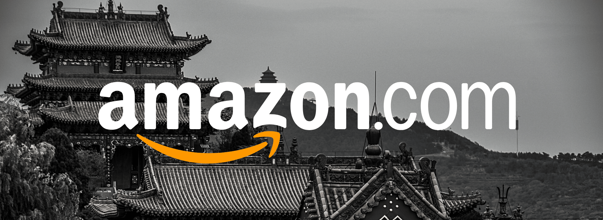 The International Expansion of Amazon: China, Germany & More