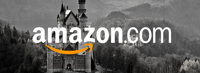 The International Expansion of Amazon: China, Germany & More
