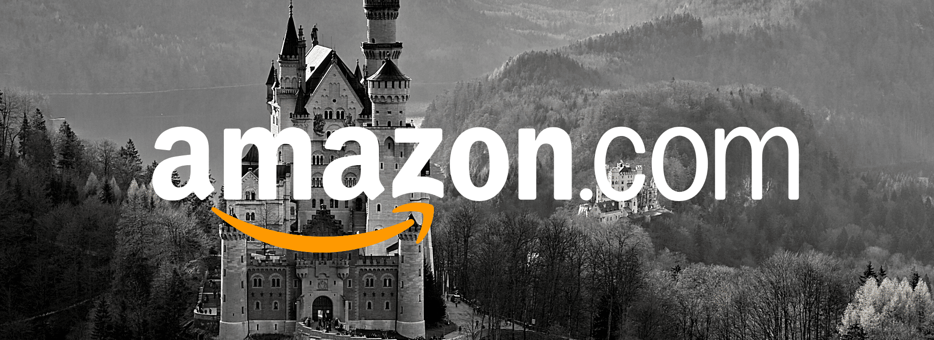 The International Expansion of Amazon: China, Germany & More