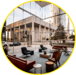 Professional Translation Services and Interpreting Solutions